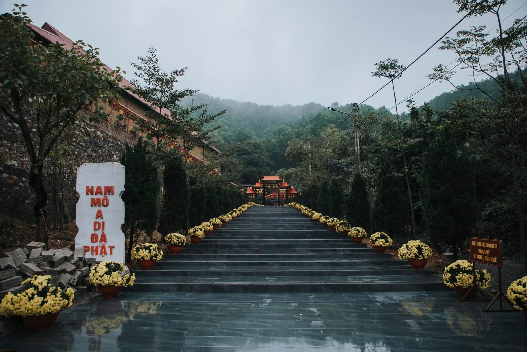 Vntrip: Đặt phòng khách sạn, vé máy bay, combo du lịch giá rẻ